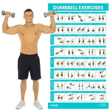 Dumbbell Exercise Chart Printable Free - Free Printable