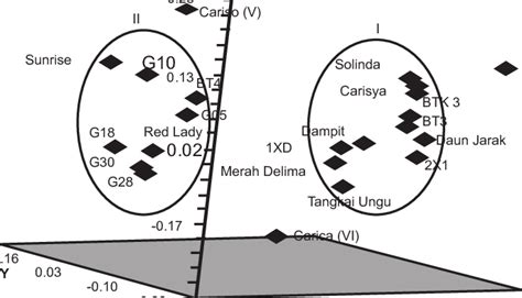 Three Dimensional Plot Of 23 Papaya Accessions Based On Eigenvector