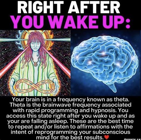Quantum Consciousness The Guide To Experiencing Quantum Psychology