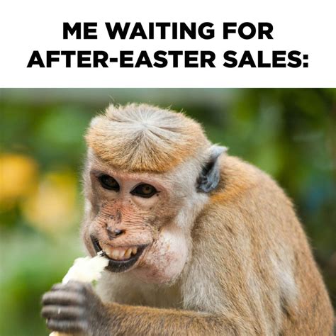 Easter Sale Meme In  Download