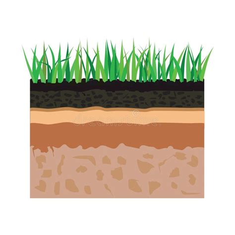 Grass Layer Stock Illustrations 3482 Grass Layer Stock Illustrations Vectors And Clipart