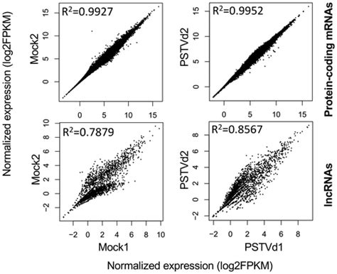 Long Noncoding Rnas In Plantpathogen Interactions Phytopathology®
