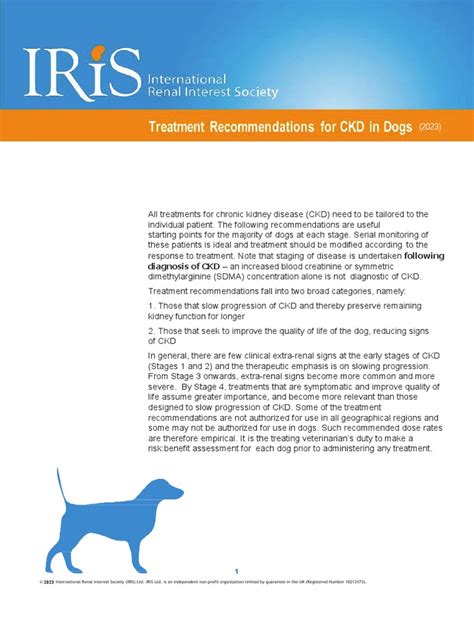 Iris Dog Treatment Recommendations 2023 Pdf Hypertension Blood