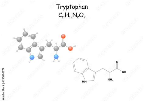 Stylized Molecule Modelstructural Formula Of The Essential Amino Acid