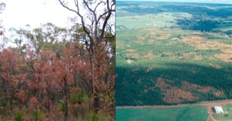 remote sensing mdpi on linkedin mostcited