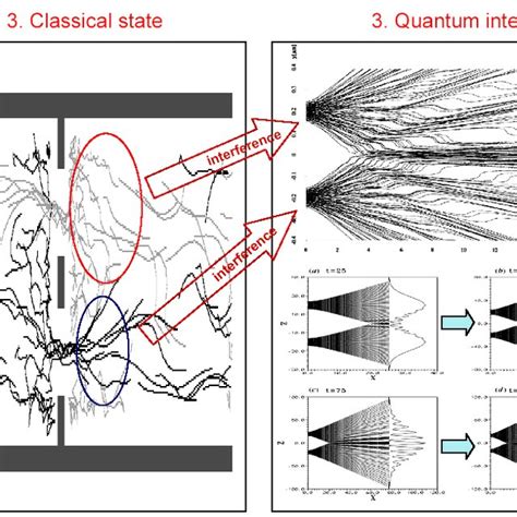 Interference Evolution In Quantum Swarm Self Organization In This Download Scientific Diagram