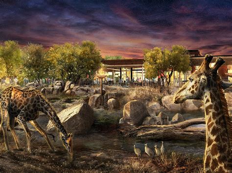 Sacramento Zoos Move To Elk Grove Reaches First Financial Goal