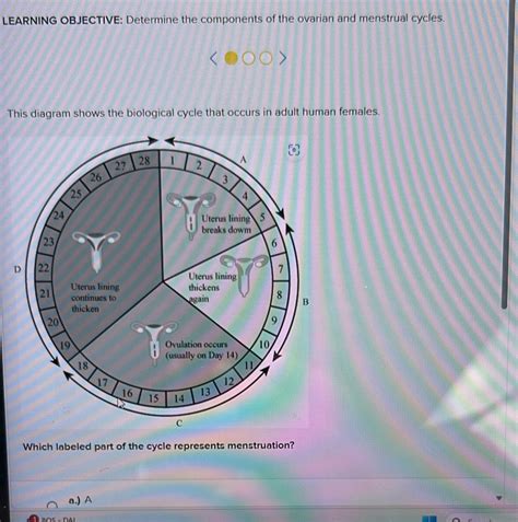 solved learning objective determine the components of the ovarian and