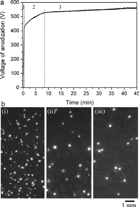 A Time Variation Of Voltage During Galvanostatic Anodization Of