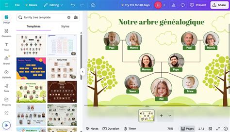 Comment Faire Un Arbre Généalogique Guide Et Exemples