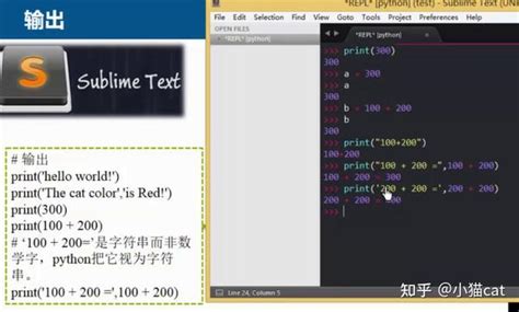 Python的输入输出 知乎