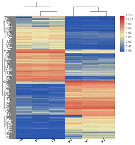 Transcriptome Sequencing And Comparative Analysis Of Adult Ovary And