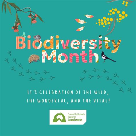 Celebrating Biodiversity Month Across The Central Tablelands — Nsw Landcare Gateway