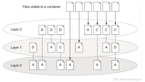 docker数据管理和网络管理 docker 管理 csdn博客