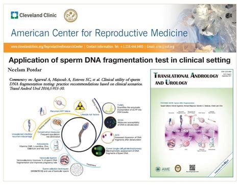 Ashok Agarwal On Linkedin Application Of Sperm Dna Fragmentation Test In Clinical Setting Neelam