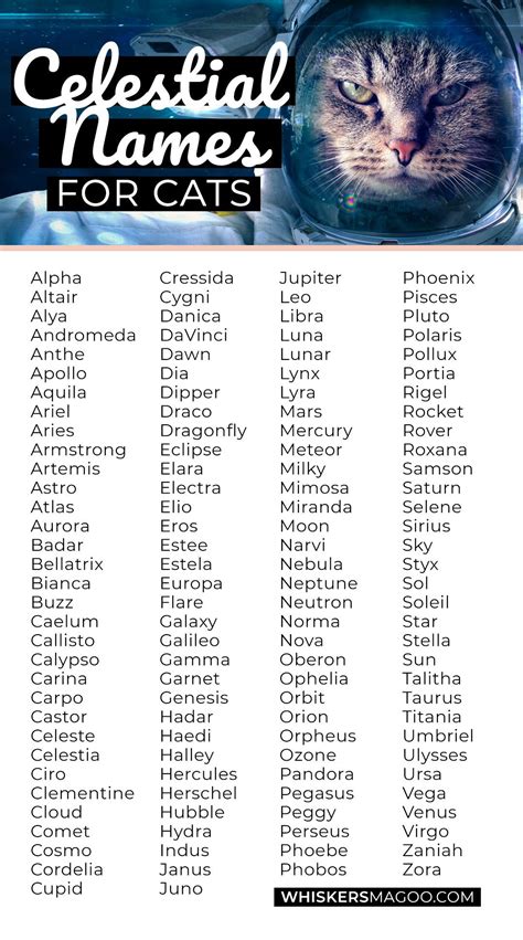 Best 12 60 Celestial Cat Names Unique And Cosmic Choices For Your