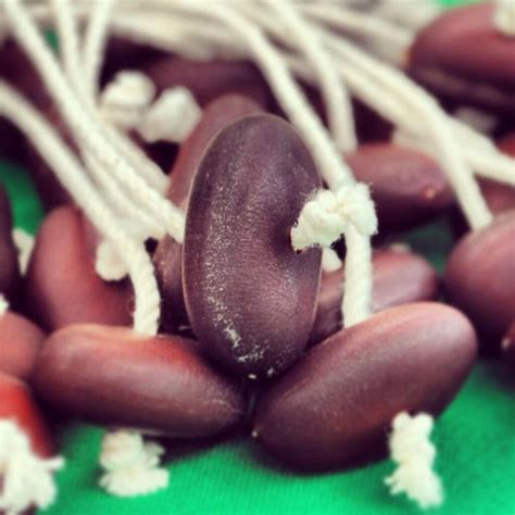 Juego Folclórico Puertorriqueño Gallitos Puerto Rico Stuffed Mushrooms Vegetables