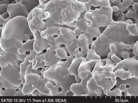 Surface Of The Original Tcp Material Before The Exposure Download