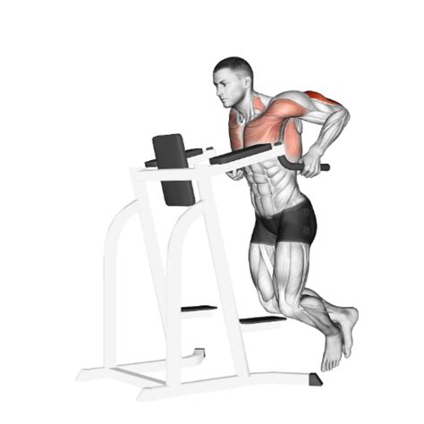 How To Master Close Grip Push Up For Optimal Results 2025