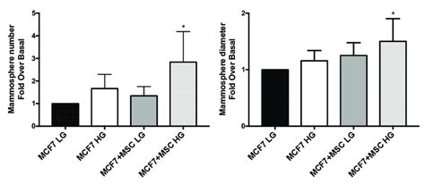 Effect Of Glucose And Mat Mscs On Mammosphere Formation Download Scientific Diagram
