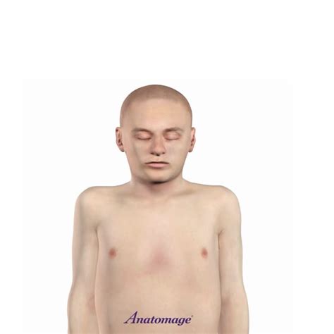 Anatomage Inc On Linkedin Shaping Medical Standards