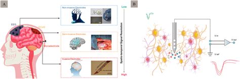 The Past Present And Future Of In Vivo Implantable Recording Microelectrodes The Neural
