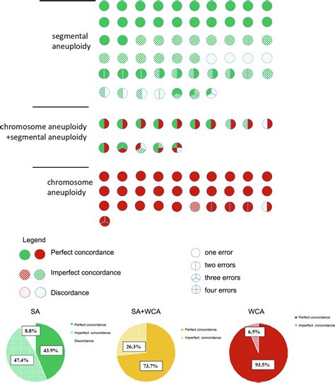 Segmental Aneuploidies With 1 Mb Resolution In Human Preimplantation Blastocysts Genetics In