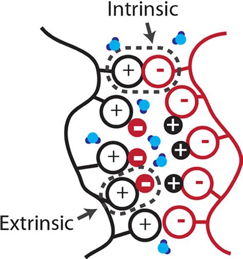 Polyelectrolyte Complexes Fluid Or Solid Acs Central Science