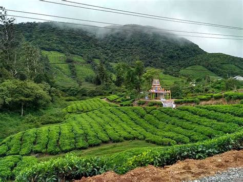Meghamalai Theni Tamil Nadu Places To See Things To Do Holidify
