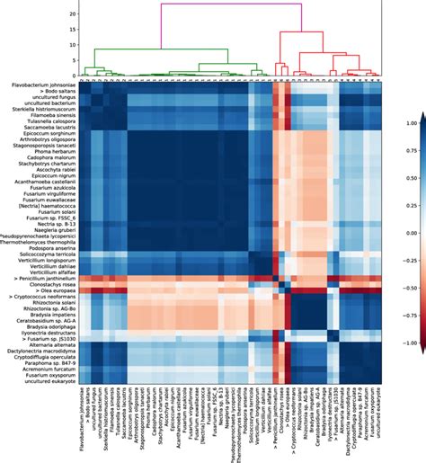 clustered correlation and dendrogram plot for species during the