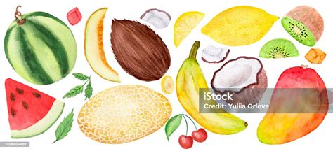 밝은 수채화 큰 과일 컬렉션입니다 망고 코코넛 키위 레몬 체리 멜론 수박 민트 바나나 및 흰색 배경에 격리 된 컷 망고에 대한 스톡 벡터 아트 및 기타 이미지 Istock