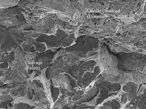 Sem Eds Testing Calibration Laboratory In Chennai Id 6585665833