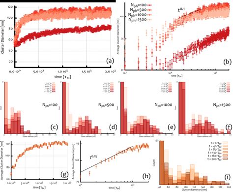 Figure S5 A B Time Evolution Of The Average Cluster Size The