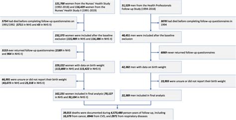Flowchart Of Participants Inclusion Download Scientific Diagram