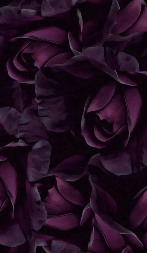 Violet Violeta Tumblr Communities