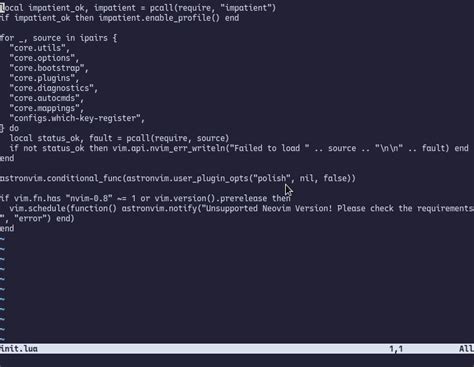Heirline Only Works For A Brief Moment After Performing The Initial `packersync` Run · Issue