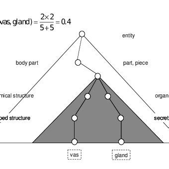 Example Of Similarity Calculation Download Scientific Diagram