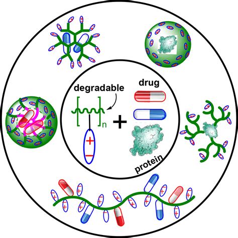Biodegradable Zwitterionic Polymers As Peg Alternatives For Drug