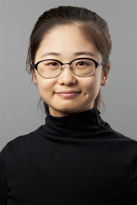 Dr Dr Ing Li Wang Chair Of Applied Electrodynamics And Plasma Technology At Ruhr University