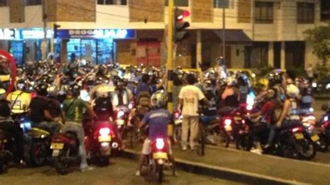 Comunicación Innata Los Humanos Pueden Entender A Los Simios Aunque No Los Conozcan Infobae