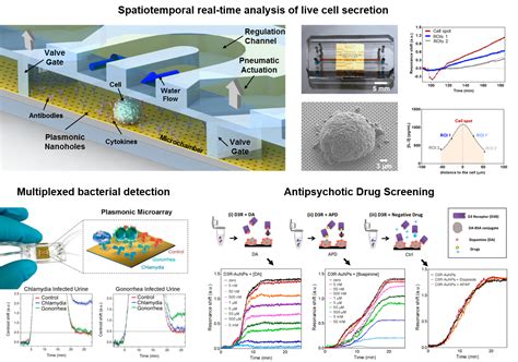 Label Free Nanobiosensor For Real Time Biochemical Analyses ‒ Bios ‐ Epfl