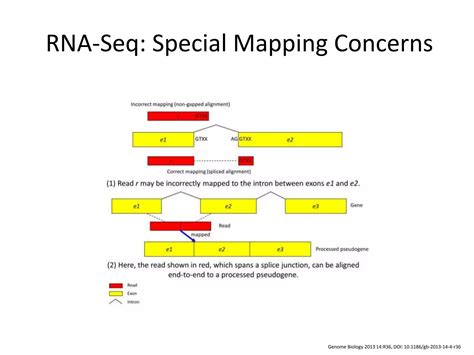 Rnaseq Analysis Pipeline For Differential Expression Pptx
