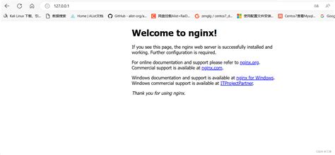 Windows 搭建nginx 服务nginx Winecsdseu Csdn博客
