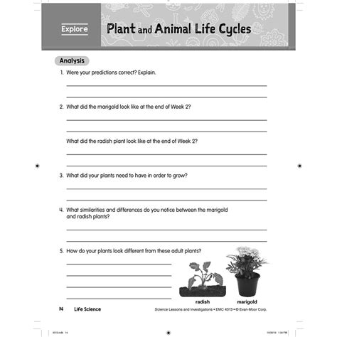 Science Lessons And Investigations Grade 3 Science Timberdoodle Co