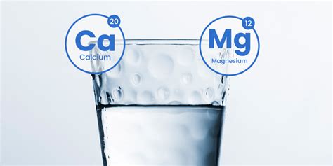Water Health Guide Bottled Vs Filtered Vs Tap Glacier Fresh
