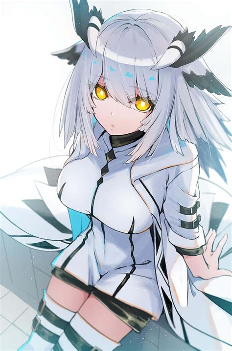 Ptilopsis Пикабу