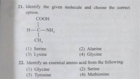 Identify The Given Molecule And Choose The Correct Option Filo