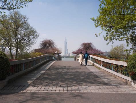 Pi Hawk Eye MP Camera For Raspberry Pi Hackaday Io