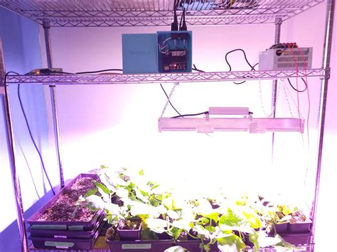 Grow Light Automation Rhomeautomation