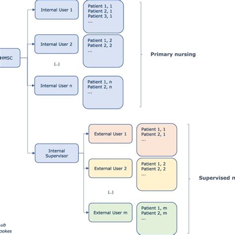 Schematic Representation Of Primary Nursing And Supervised Network
